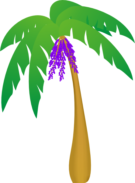 Download Palm Leaf Clipart - Palm Tree Leaves Clip Art | Transparent ...