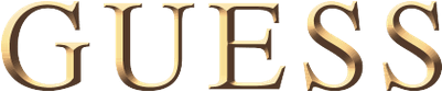 Download Guess Logo | Transparent PNG Download | SeekPNG