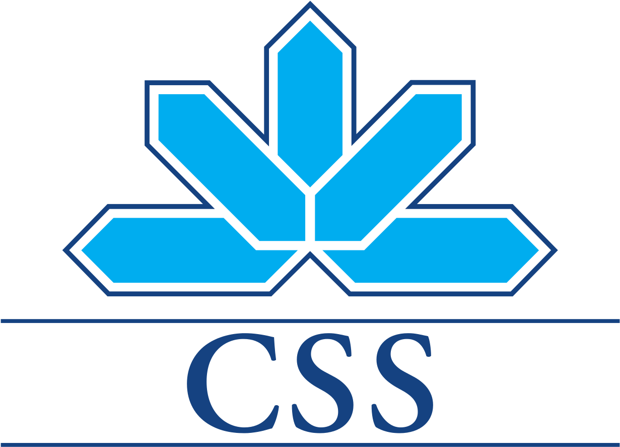 Download Css Logo | Transparent PNG Download | SeekPNG