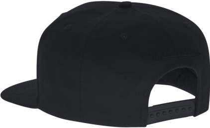 Toronto Raptors Xl Raptor Logo Snapback Hat - Yupoong 6606 Retro ...