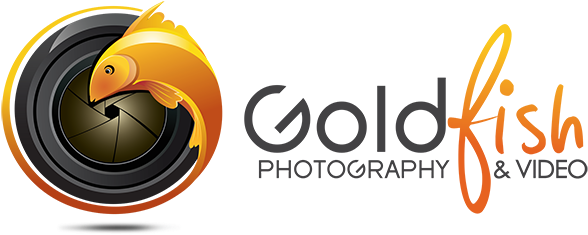 Photography & Videography Logo (600x266), Png Download