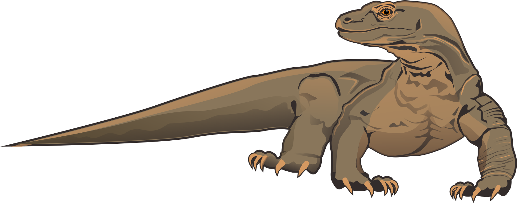 Komodo Dragon Clip Art Free Free Clipart Images - Komodo Dragon Clipart ...