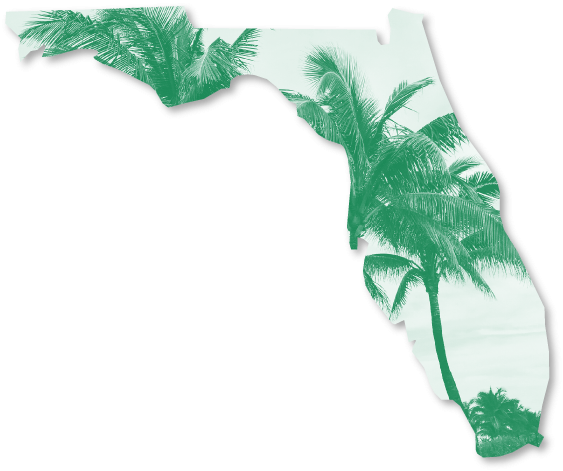 Download Florida Outline Transparent Green - Florida | Transparent PNG ...