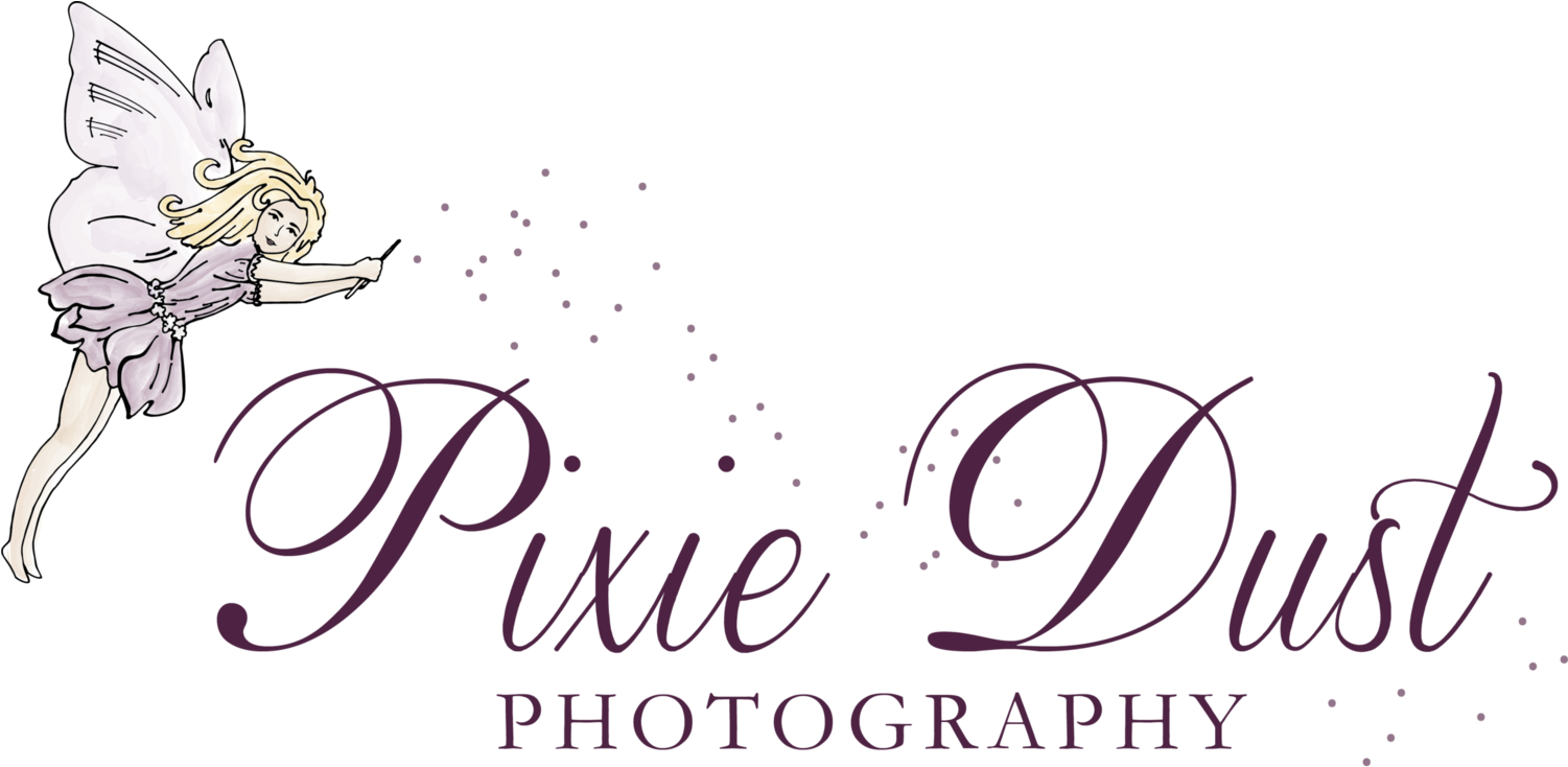 Download Pixie Dust Png Banner Freeuse Library - Pixie Dust Photography ...