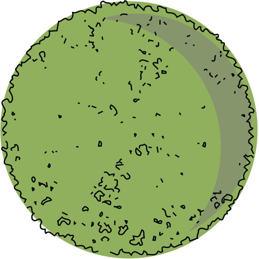 Trees Plan Png - Architecture (900x900), Png Download