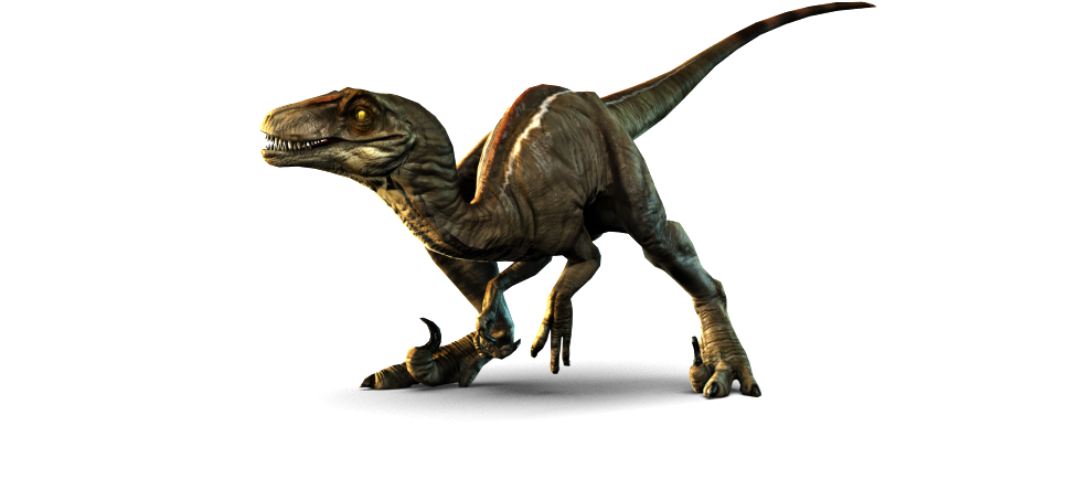 Raptor Png - Primal Carnage Extinction Velociraptor (1023x475), Png ...