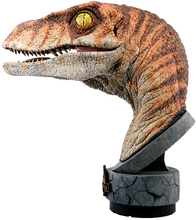 Jurassic Park 1 Male Raptor (505x505), Png Download