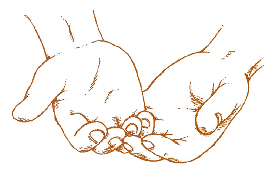 Download Open-hands - Open Hands Clip Art | Transparent PNG Download ...