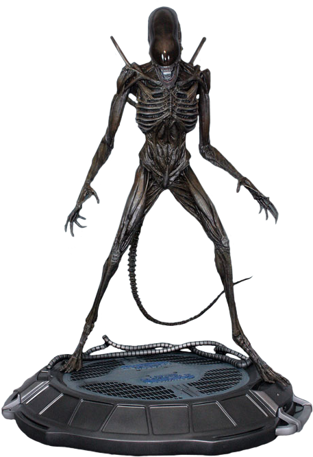 Xenomorph 1/4 Scale Statue - Alien Covenant 1/4 Scale Xenomorph Statue ...