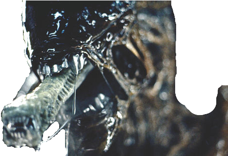 Xeno 2nd Mouth Attack - Alien Vs Predator Alien Mouth (485x319), Png ...