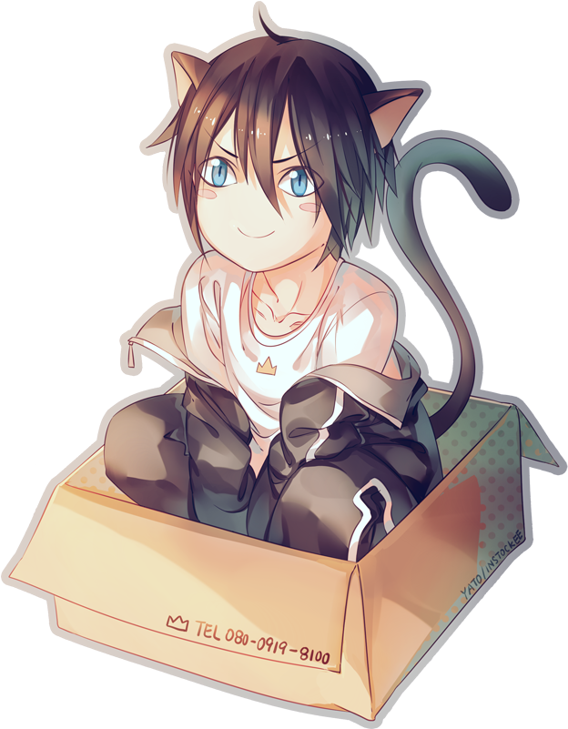 Noragami Aragoto - Noragami Yato Cat (639x800), Png Download