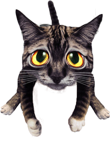 Cat, Filter, And Png Image - Domestic Short-haired Cat (422x666), Png ...