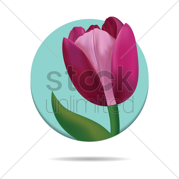 Download Tulip Stock Vector - Vector Graphics | Transparent PNG ...