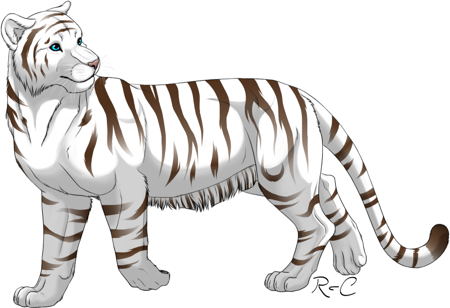 White Tiger - White Tiger Transparent Background (1000x666), Png Download