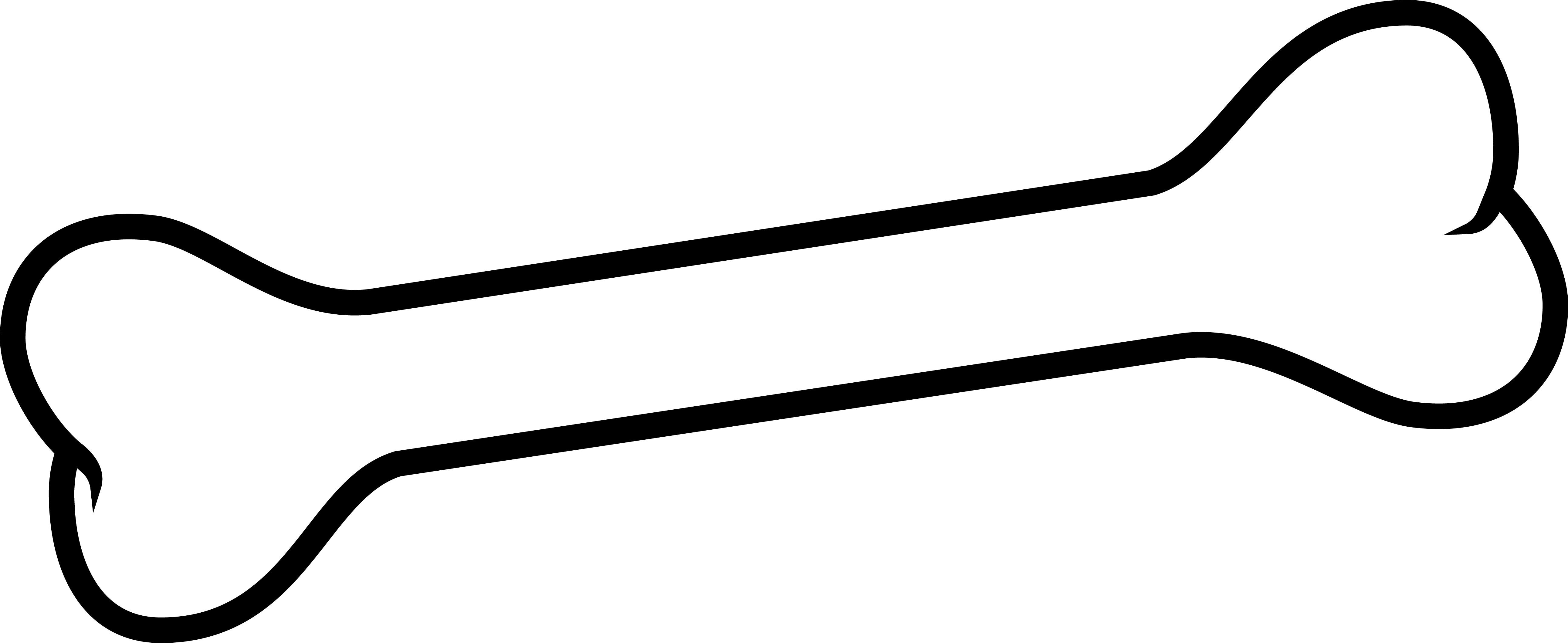 Bone Png - Bone Transparent Background (5167x2119), Png Download