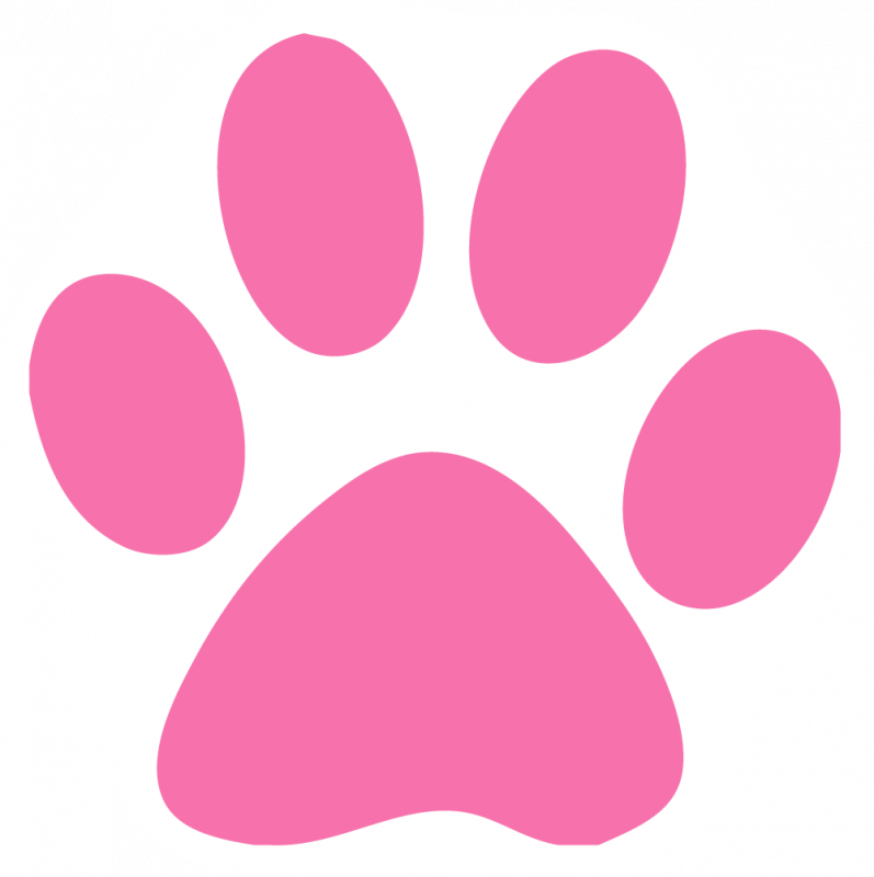 Pink Cat Paw Print - Pink Paw Print Clip Art (797x800), Png Download