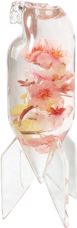 Skull Bomb Sakura Edition (800x800), Png Download