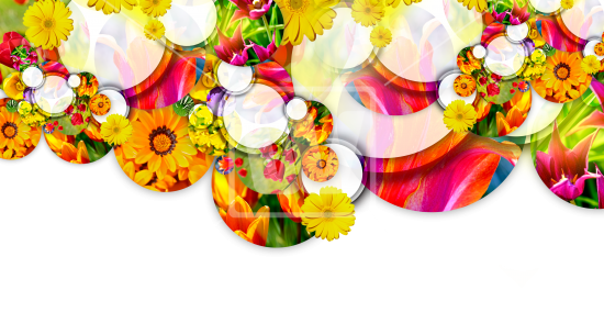 Spring Header - Flower Header Transparent Png (550x295), Png Download