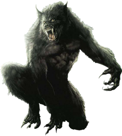Werewolf Png (432x480), Png Download