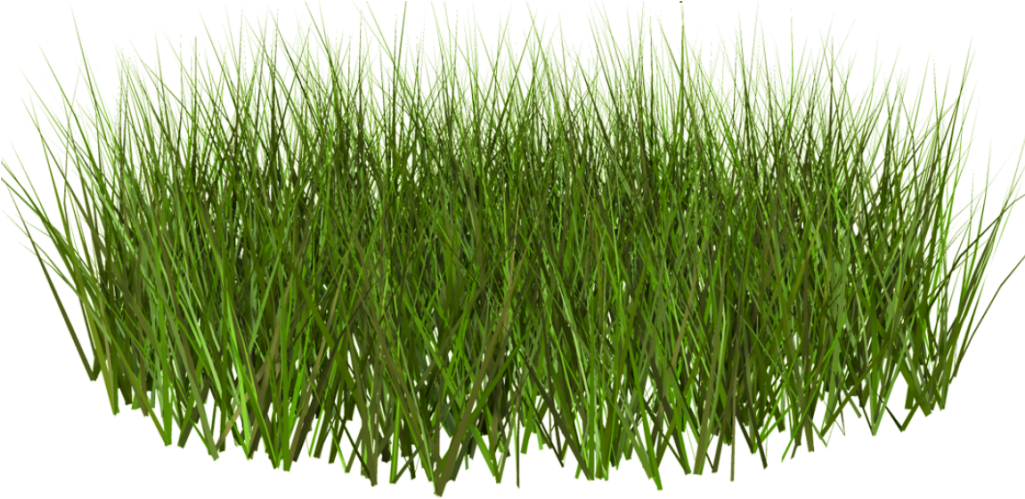 Grass Texture Png Download - Lawn Clipping Png (1024x516), Png Download