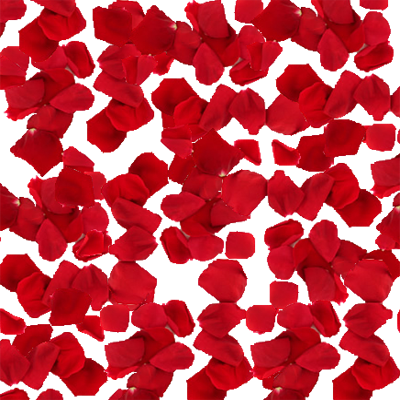 Photo Rosepetals - Red Rose Petals (400x400), Png Download