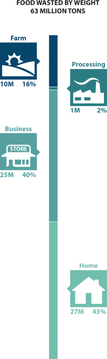 Food Waste Info - Food (360x1200), Png Download