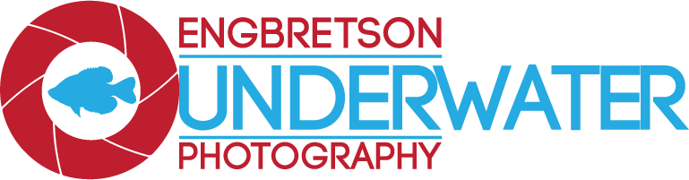 Koen Pieter - 20 Goue Treffers (cd) (769x201), Png Download