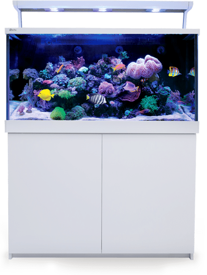 Coral Pro Salt - Sel Red Sea Coral Pro Salt (422x560), Png Download