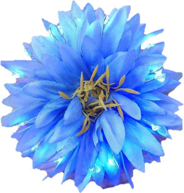 Blue Light Up Glowing - Blue (707x943), Png Download