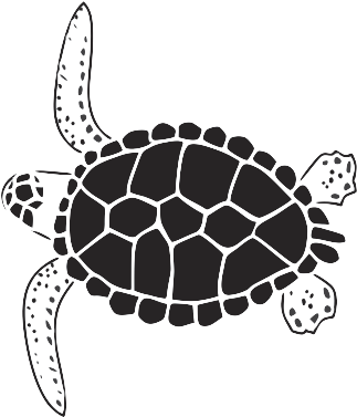 Turtle Graphic - Turtle Graphics (343x398), Png Download