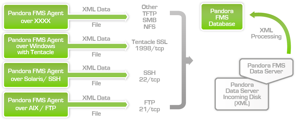 Original File - Pandora Fms Agent Architecture (1119x506), Png Download
