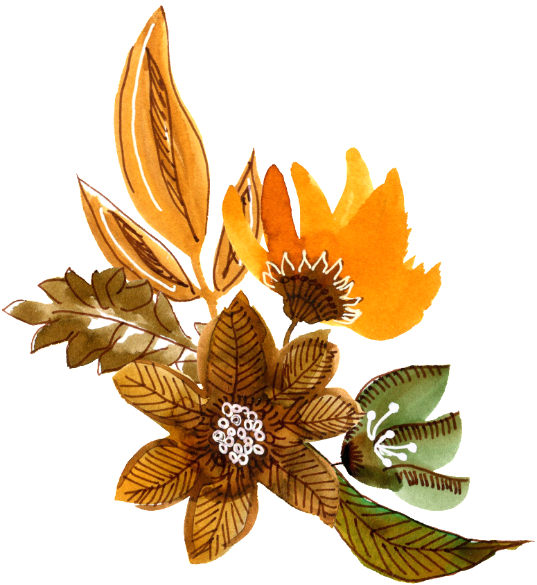 Download Hand Drawn Autumn Flowers Png Transparent - Design ...