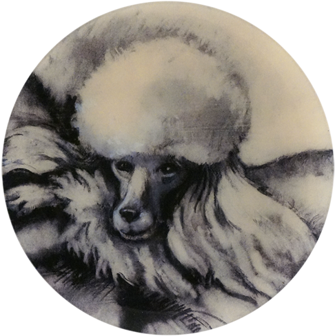 Fifi Fifi - Facebook (500x500), Png Download