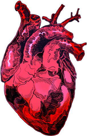 Xoxo - Human Heart Tumblr Transparent (500x493), Png Download