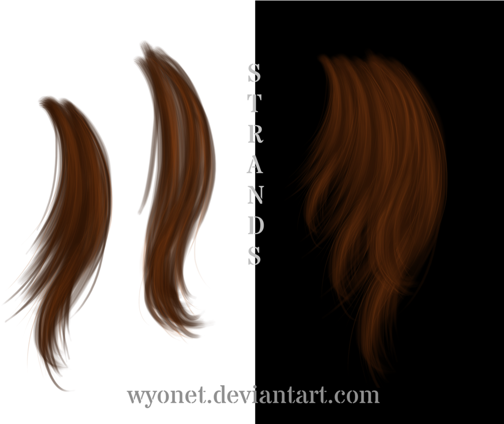 Download Vector Hairstyles Hair Strand - Hair Strands Transparent ...
