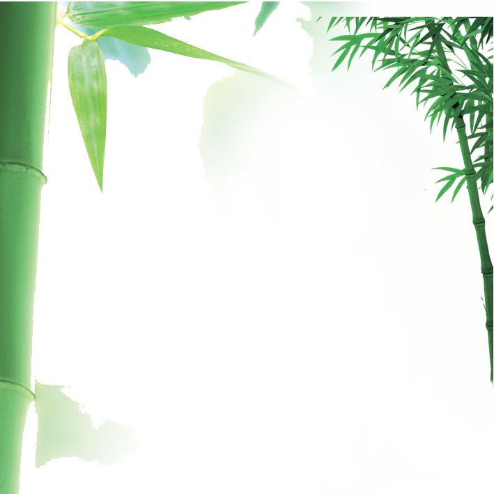 Bamboo Download - Border Bamboo Design Png (709x709), Png Download