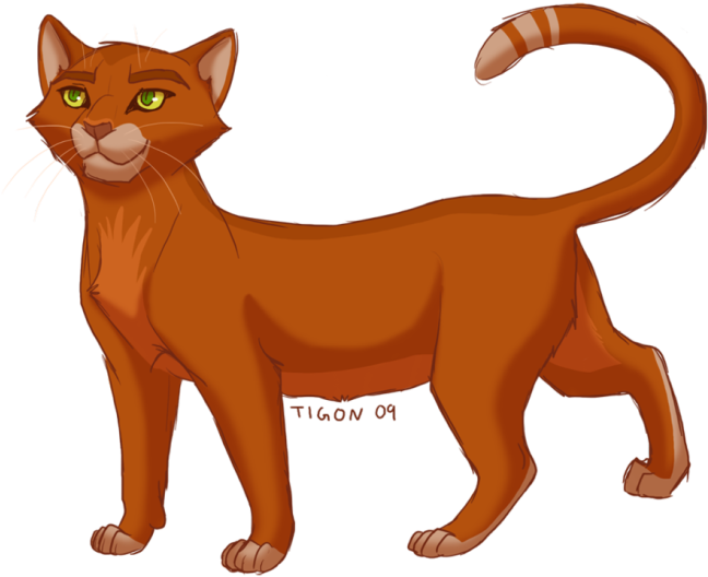 Download Fireheart Ii By Tigon - Fireheart Png Warrior Cats ...