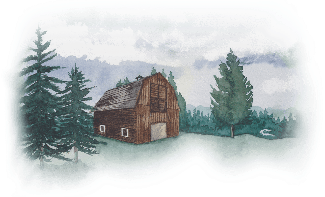 Header Image - Christmas Tree (1400x793), Png Download