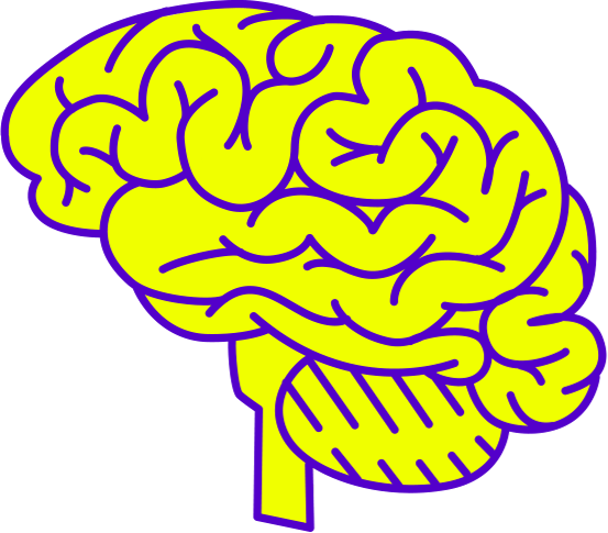 Download Drawing Of A Brain - Yellow Brain | Transparent PNG Download ...