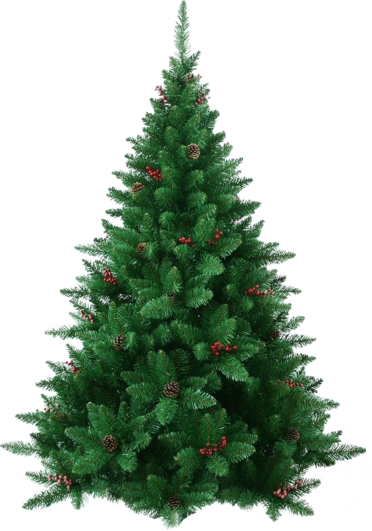 Christmas Tree Pictures, Pine Christmas Tree, Pine (748x1068), Png Download