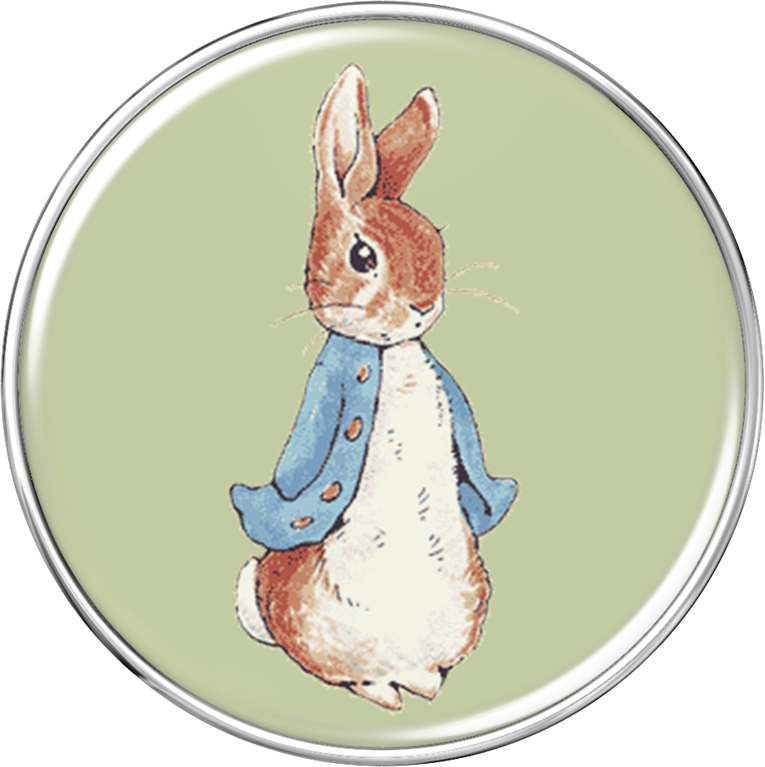 Cottontail - Peter Rabbit Transparent Background Clipart (765x767), Png ...