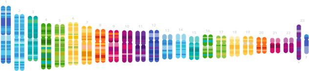 A Colorful Illustration Of 23 Pairs Of Chromosomes - 23 And Me (720x405 ...