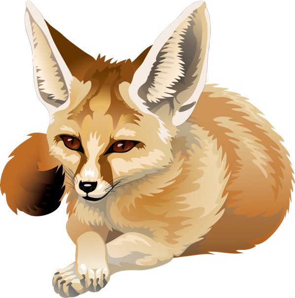 By Silvercrossfox On Deviantart - Fennec Png (599x606), Png Download