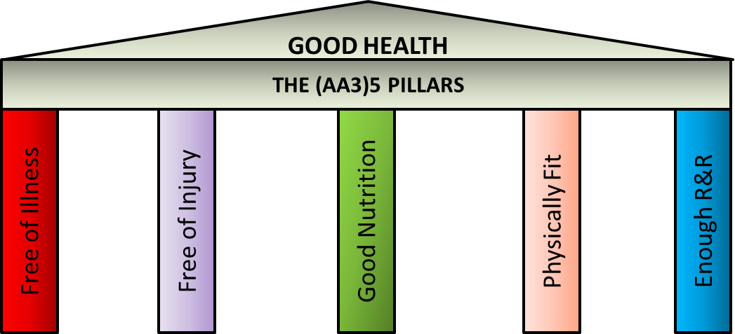 Aa35 Pillars Of Good Health Png Version - Pillars Of Physical Health ...