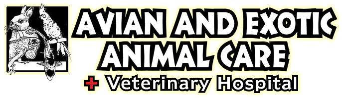 Back - Avian And Exotic Animal Care (686x198), Png Download