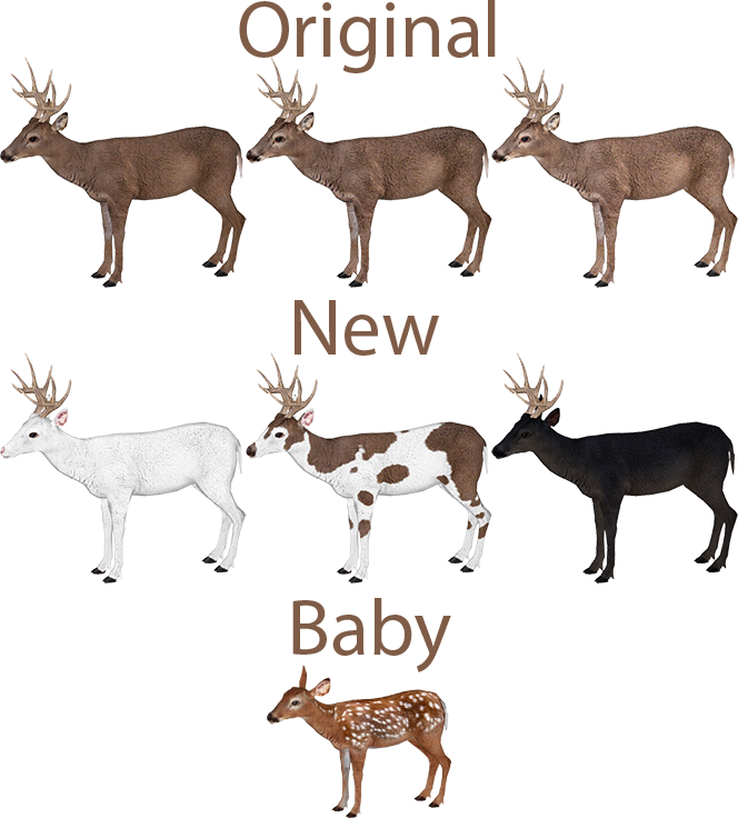White-tailed Deer Variants Lgcfm - Zt2 2017 Downloads (664x736), Png ...