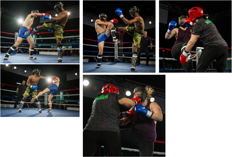 Download Picture - Professional Boxing | Transparent PNG Download | SeekPNG