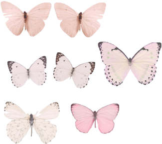 Download 13) Pastel - Butterfly Pastel | Transparent PNG Download | SeekPNG