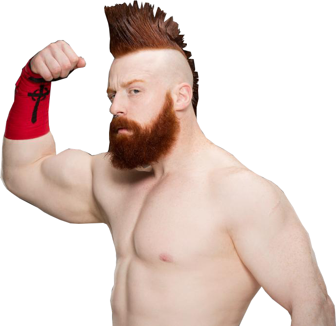Sheamus Free Png Image - Sheamus Png 2018 (730x666), Png Download