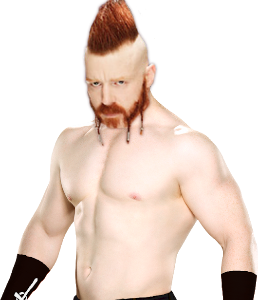Download Sheamus No Background | Transparent PNG Download | SeekPNG
